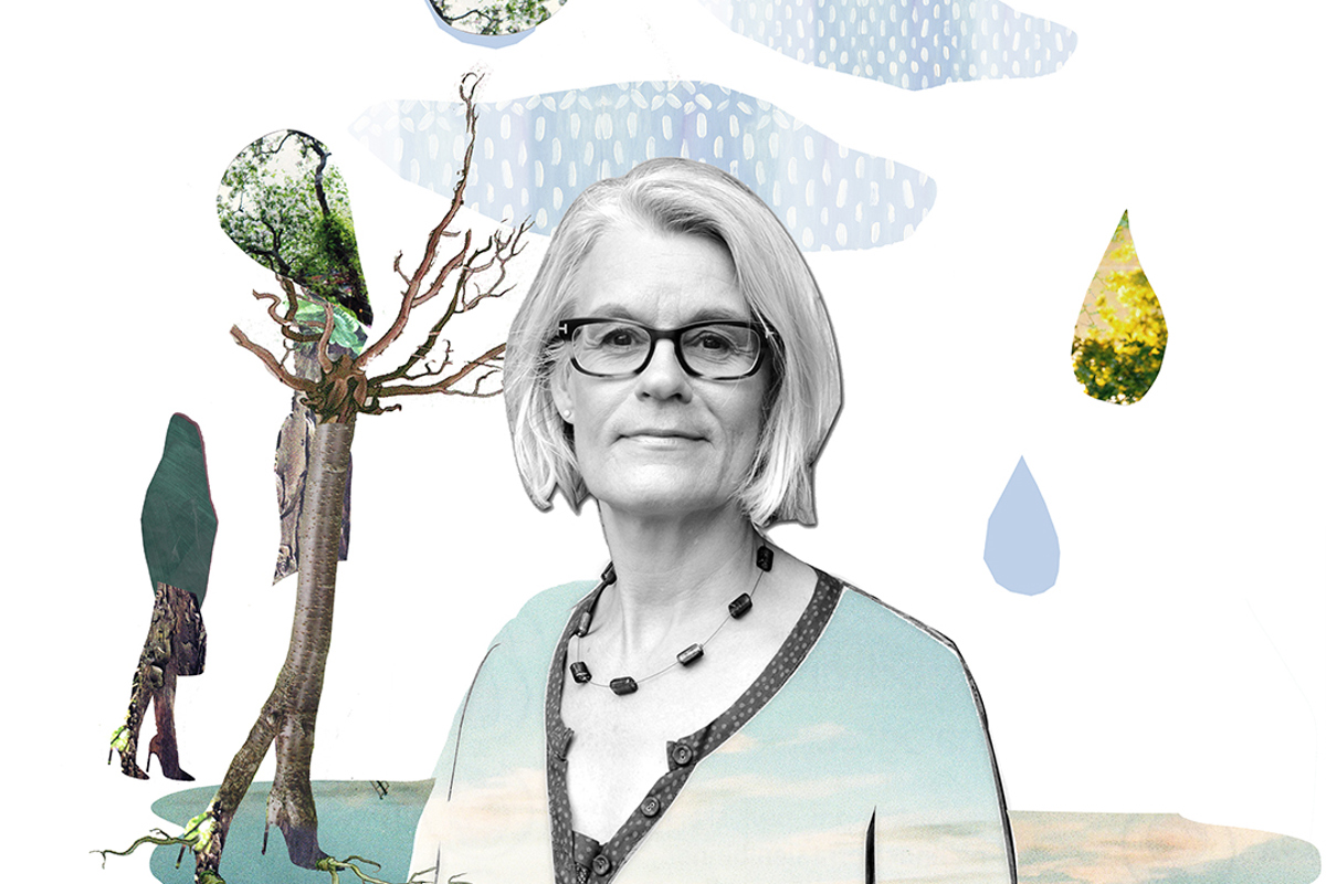 Träden och regnet - Movium