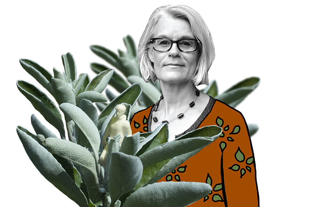 Träden bland bladen - Movium